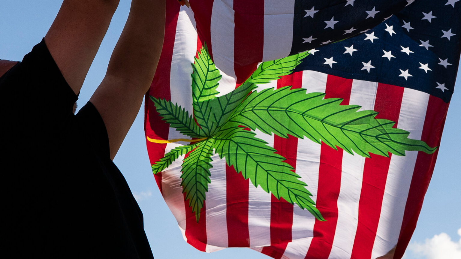 Minute-by-Minute: What Marijuana Does to Your Body as Trump Prepares ...